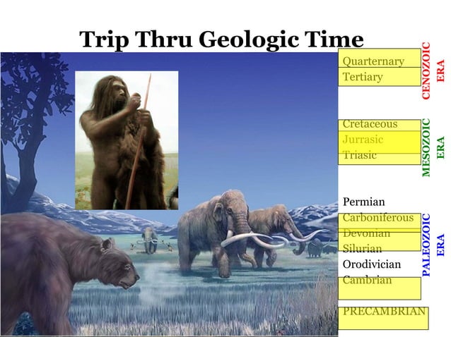 Rock record | PPT | Geology | Science