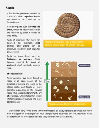 Rocks.pdf