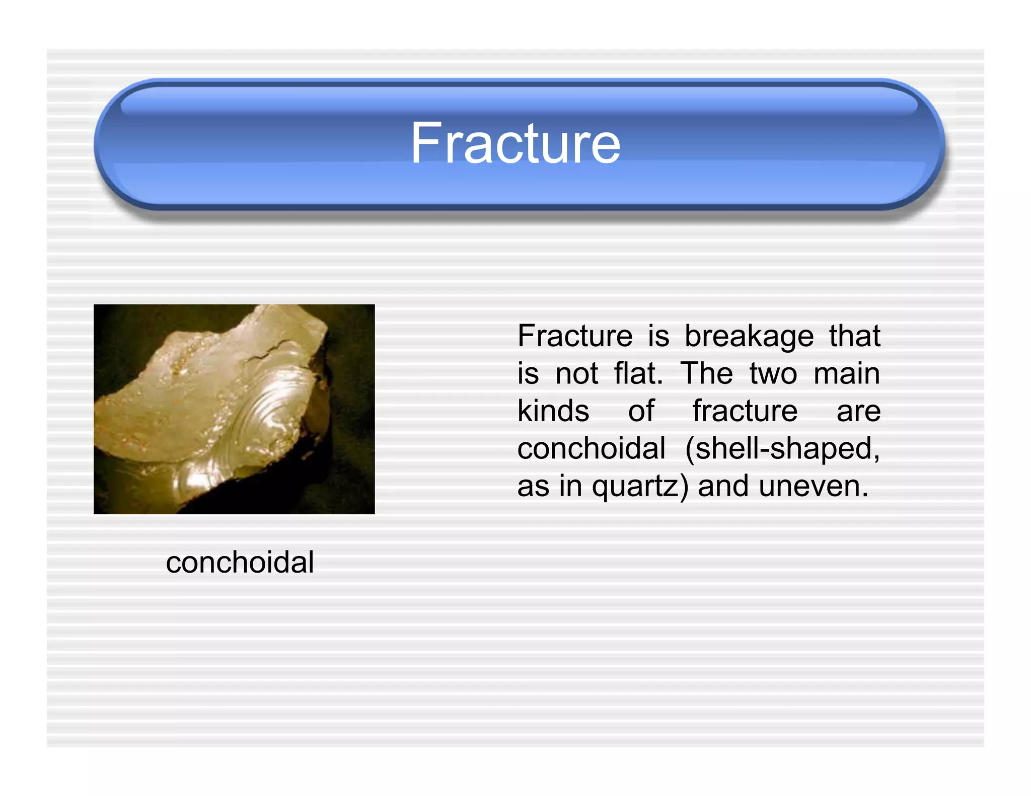 Rocks and Minerals.pdf