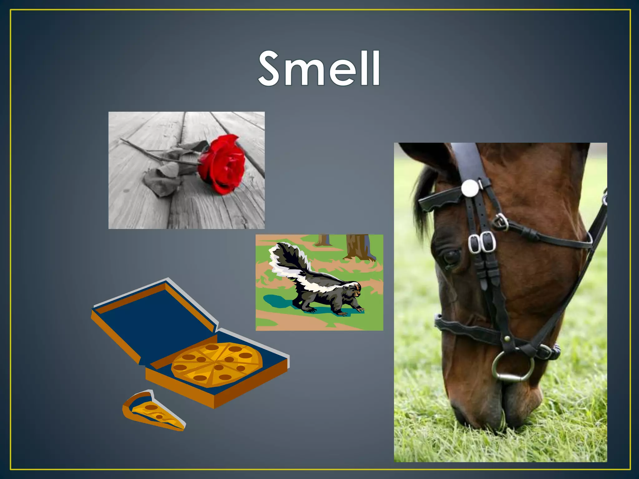 Rocks and soil | PPT