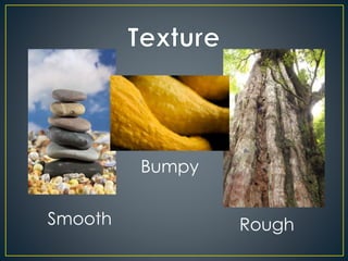 Rocks and soil | PPTX