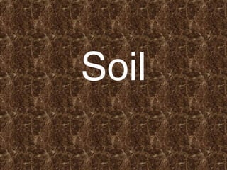 Rocks+and+soil+powerpoint | PPT