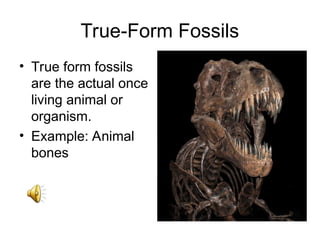 Rock, Minerals and Soil - Science Grade 3 | PPT