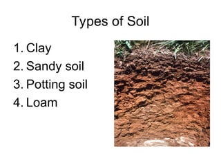Rock, Minerals and Soil - Science Grade 3 | PPT