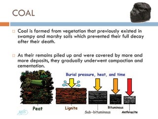 Rocks - Sedimentary | PDF
