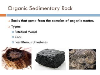 Organic Sedimentary Rock Examples