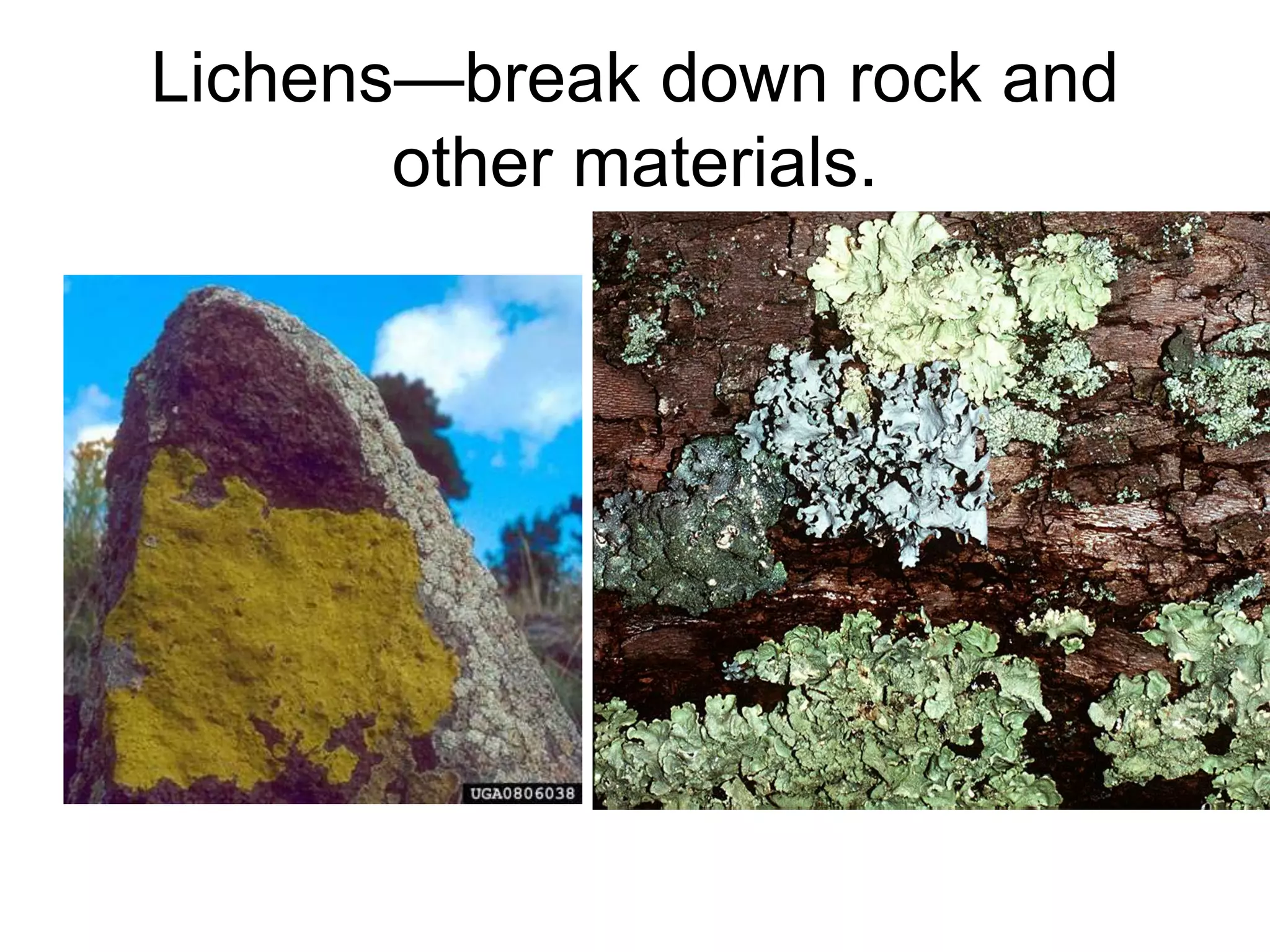 Rocks Weathering_classnote.ppt