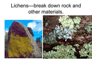 Rocks Weathering_classnote.ppt