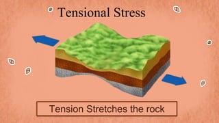 Rock under Stress Honey pearl.pptx