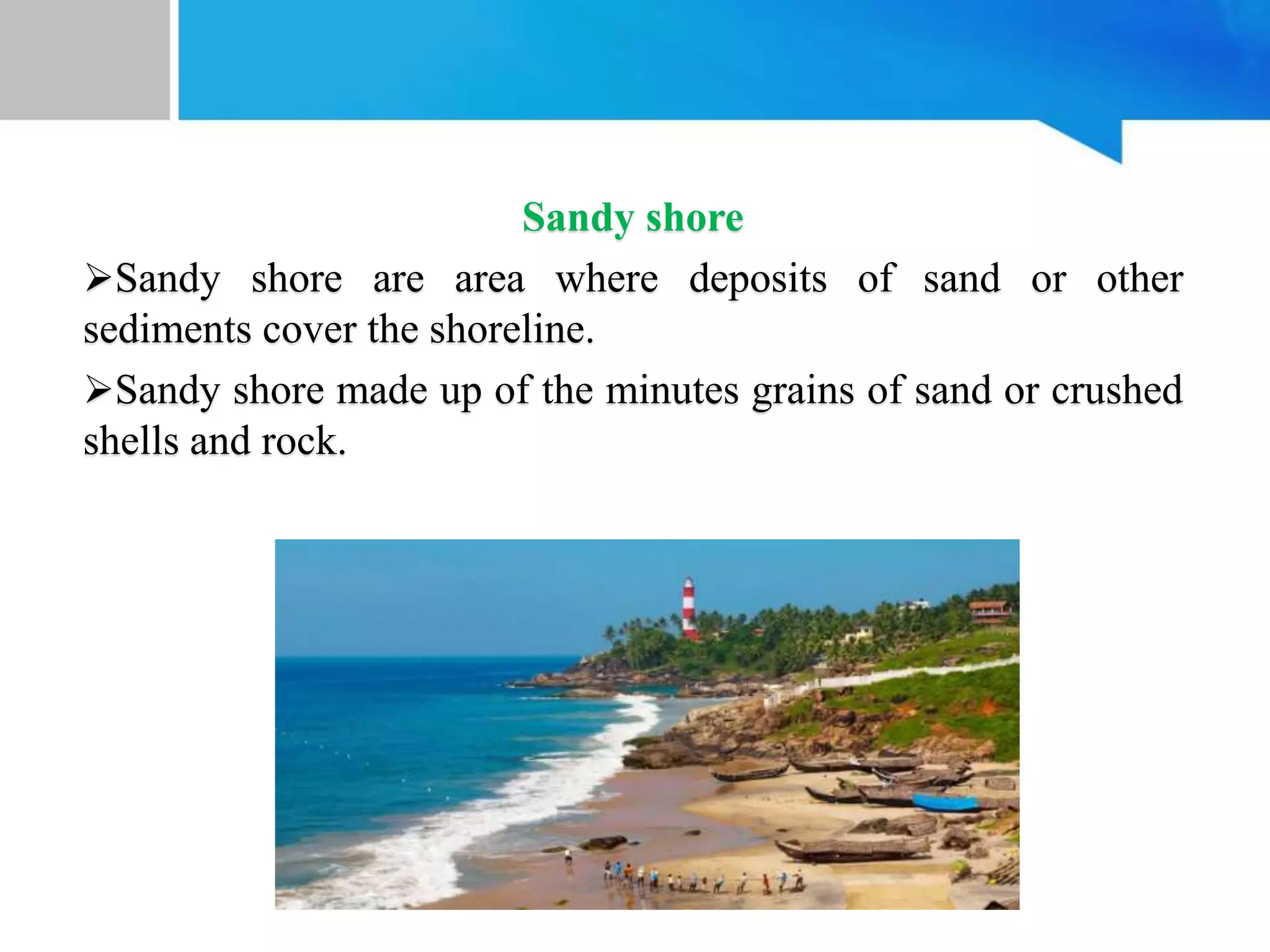 rocky and sandy shore pragati ppt.pptx