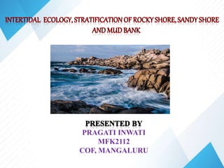 rocky and sandy shore pragati ppt.pptx