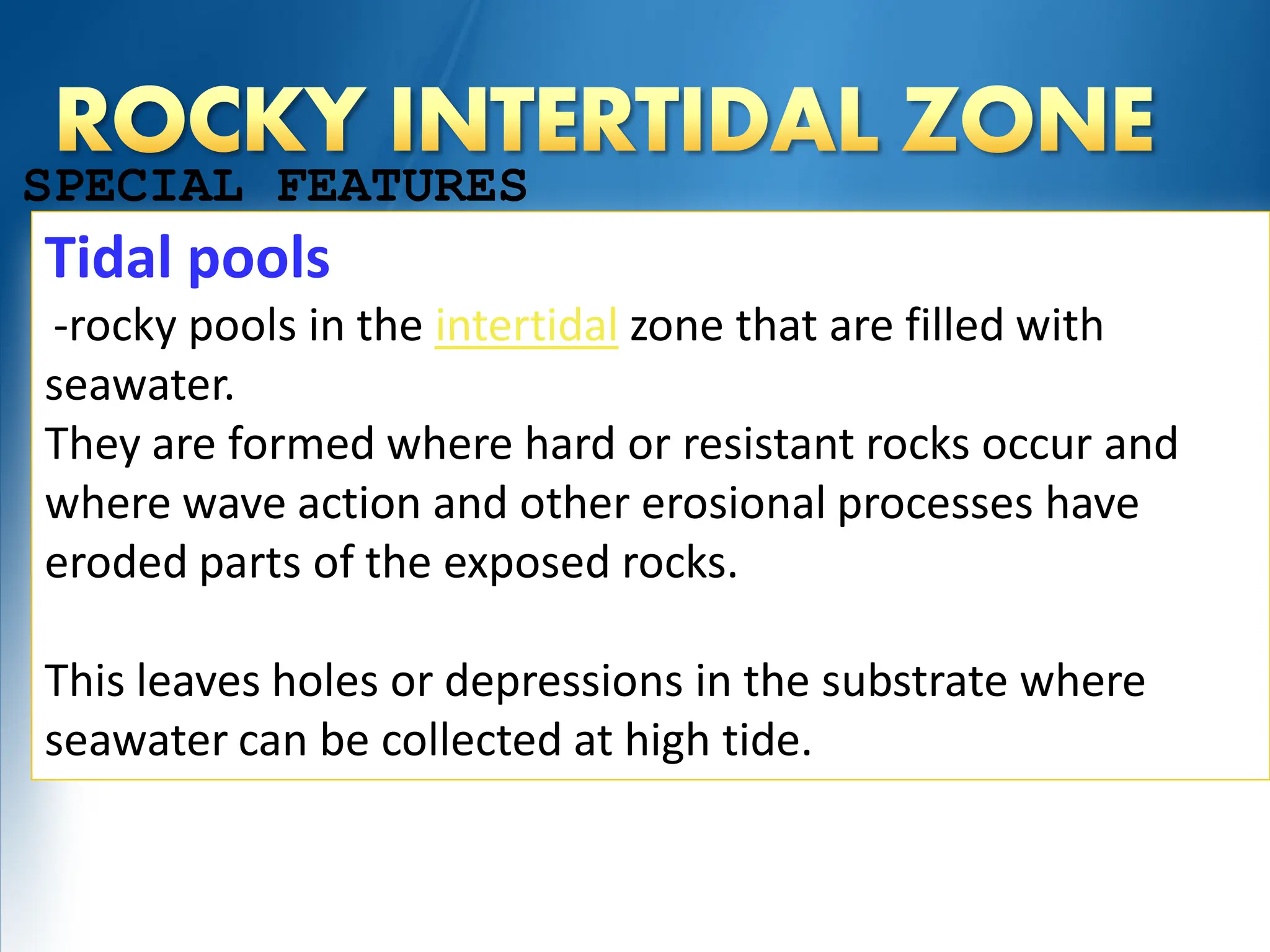 rocky intertidal zone for advanced ecology | PDF