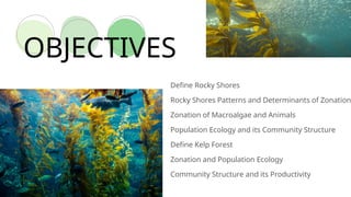 INTRODUCTION TO ROCKY SHORES AND KELP FORESTS | PPTX