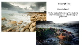 INTRODUCTION TO ROCKY SHORES AND KELP FORESTS | PPTX