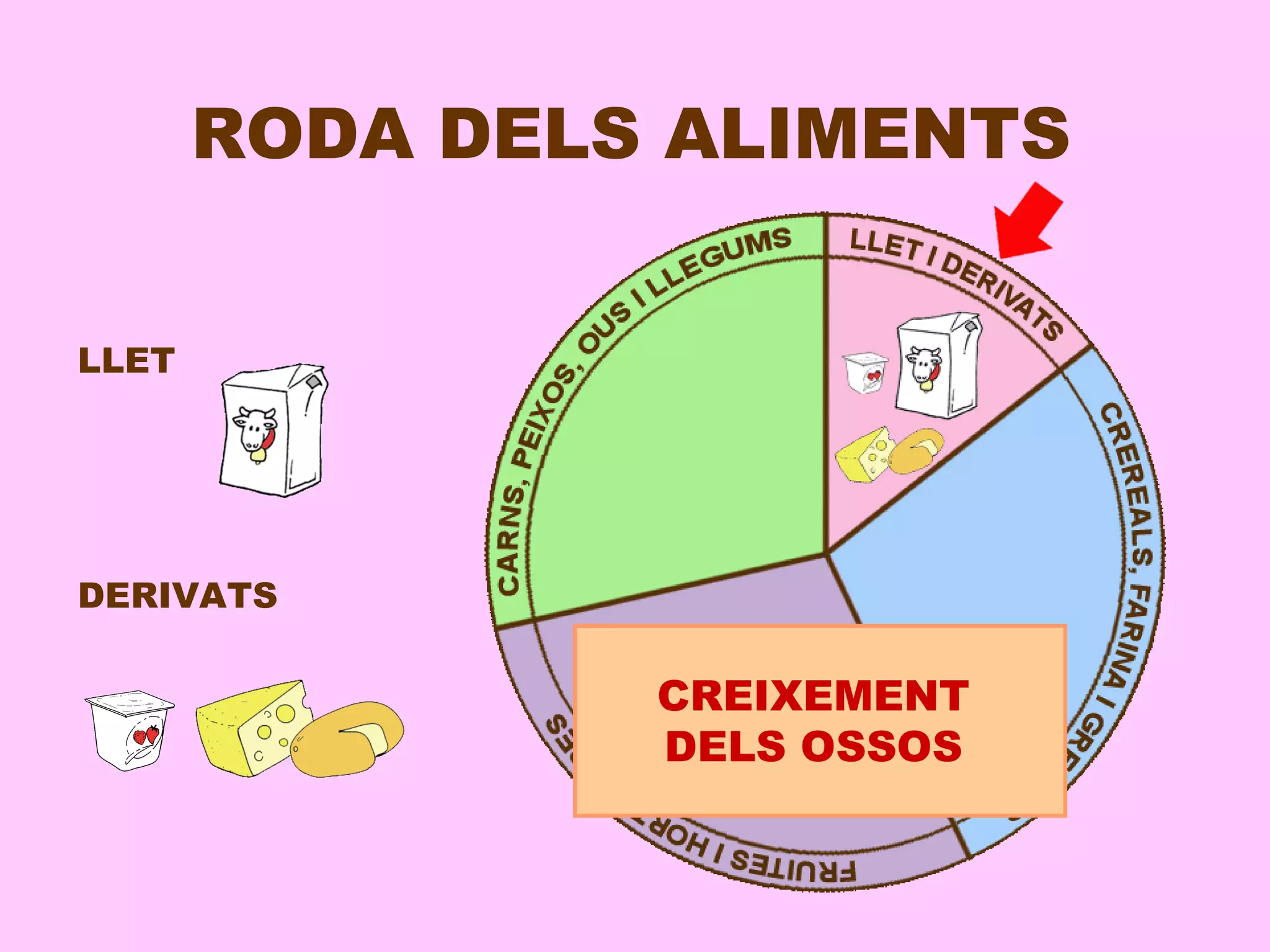 Roda dels aliments | PPT