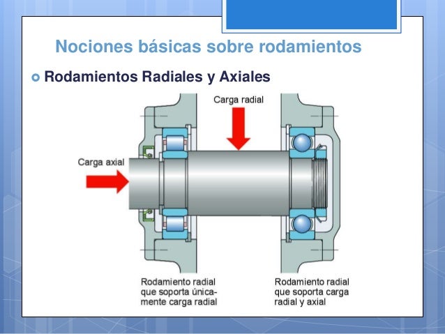 Rodamientos 2019
