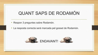 Associació Rodamón | PPT