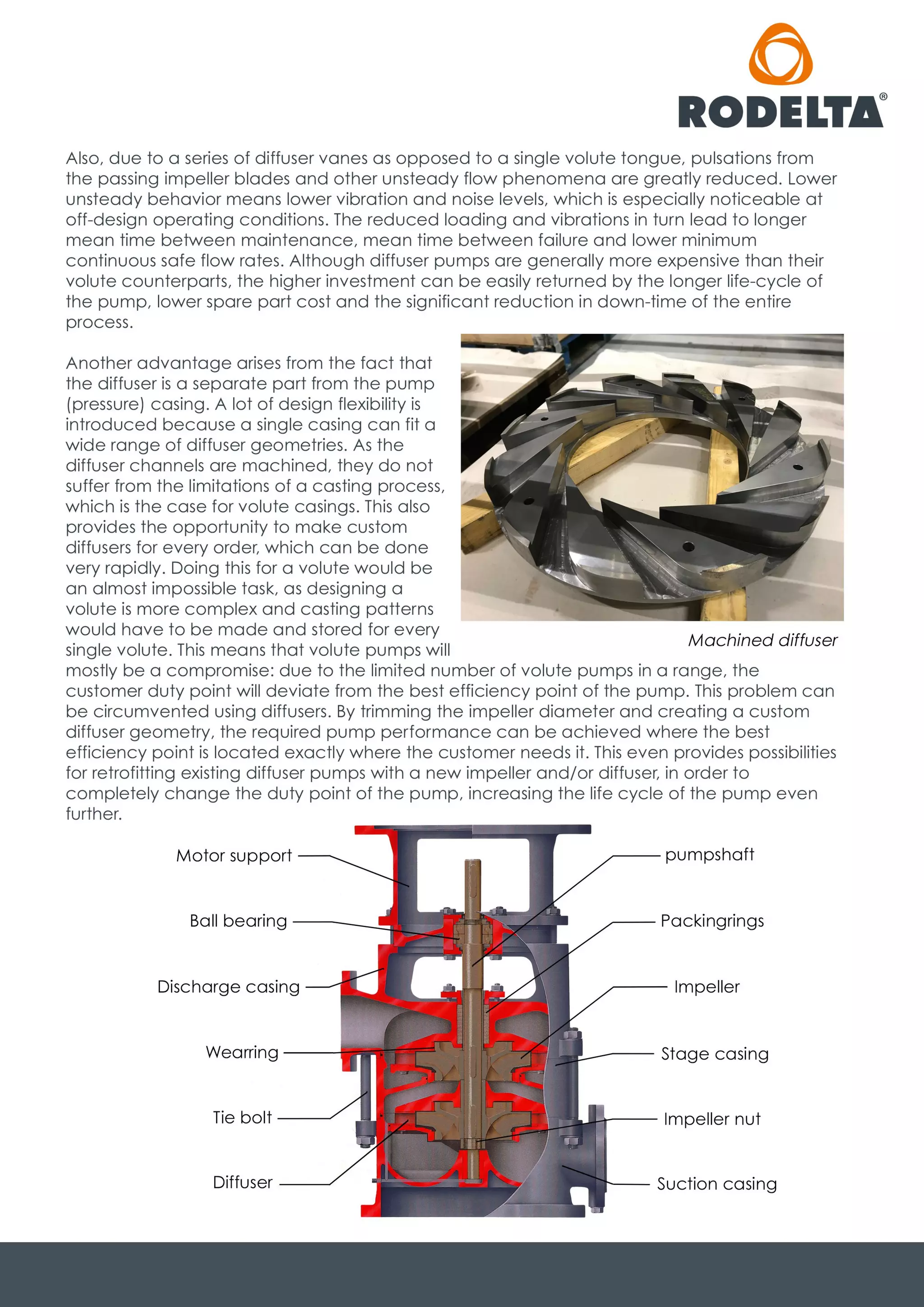 Rodelta LS pump brochure | PDF