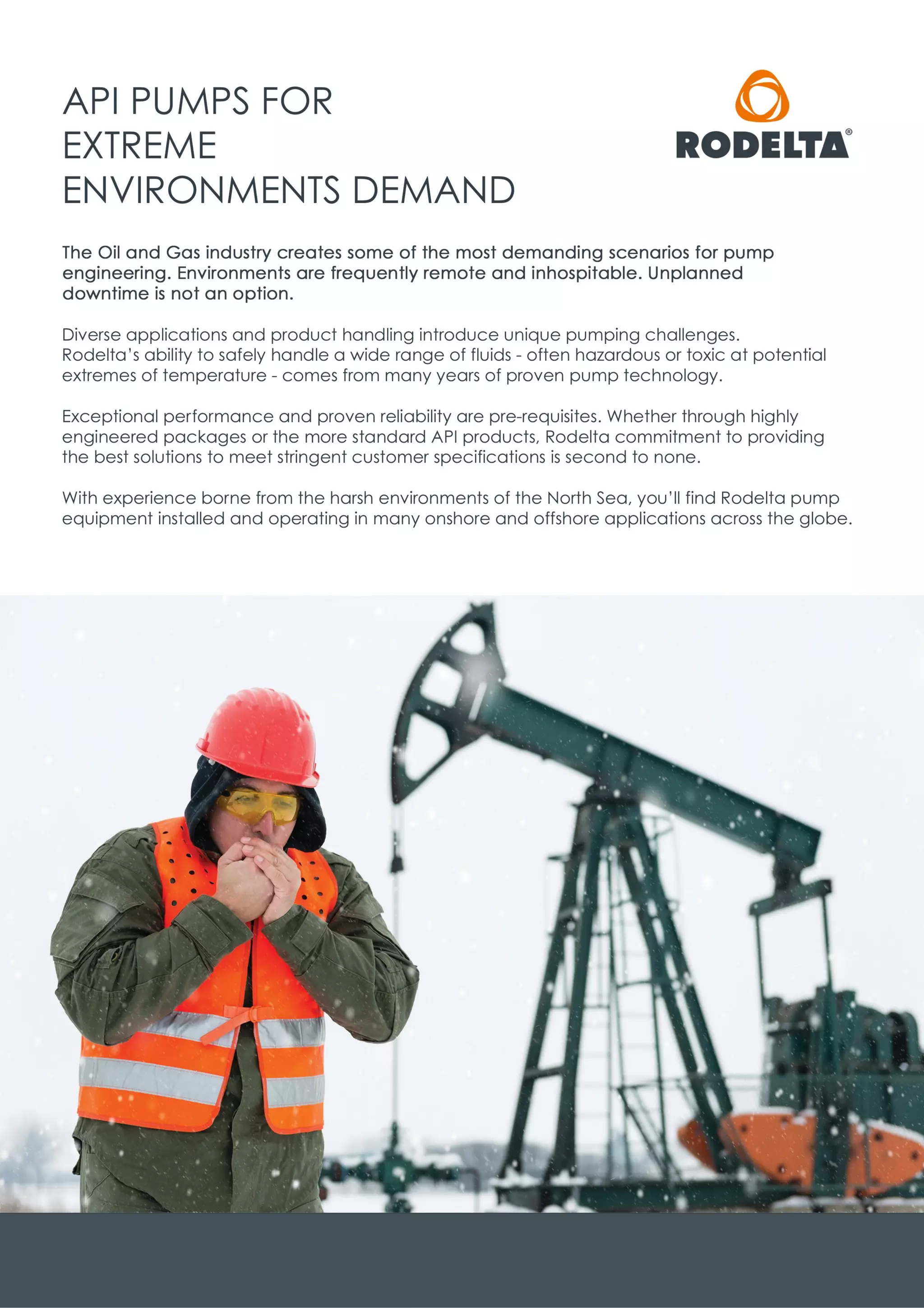Rodelta - Pump solutions for the oil and gas industry API 610 | PDF