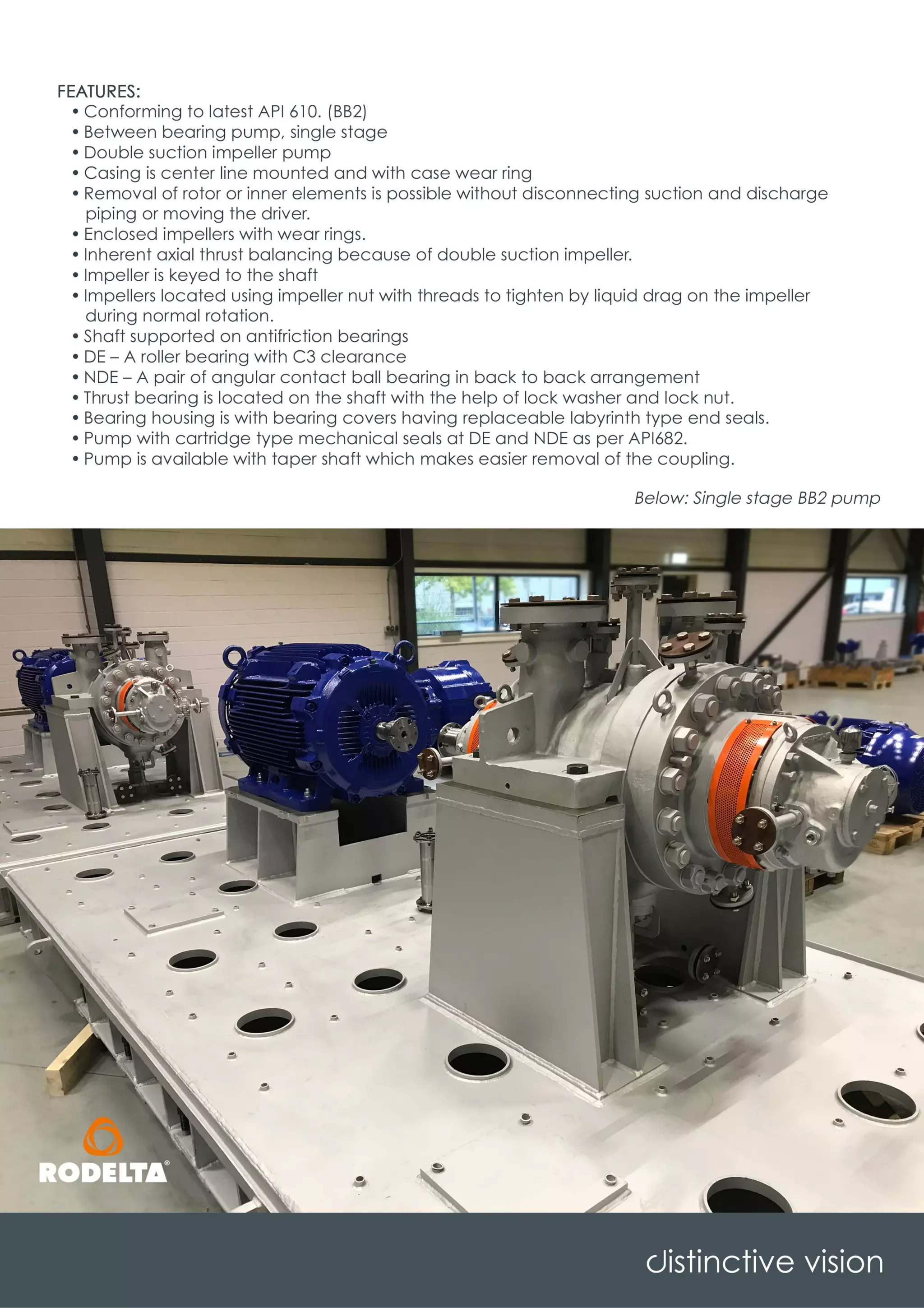 Rodelta - Pump solutions for the oil and gas industry API 610 | PDF