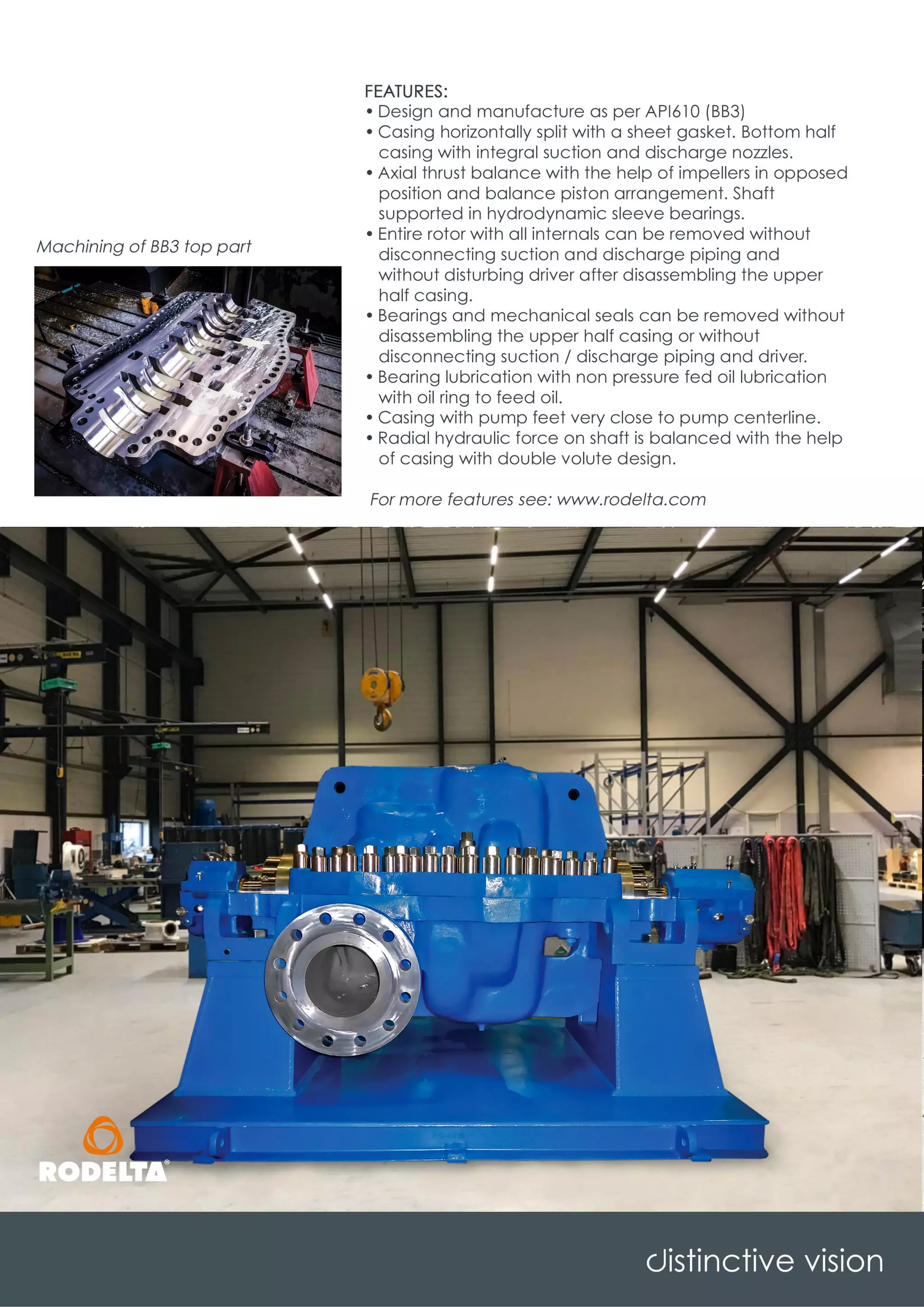 Rodelta - Pump solutions for the oil and gas industry API 610 | PDF