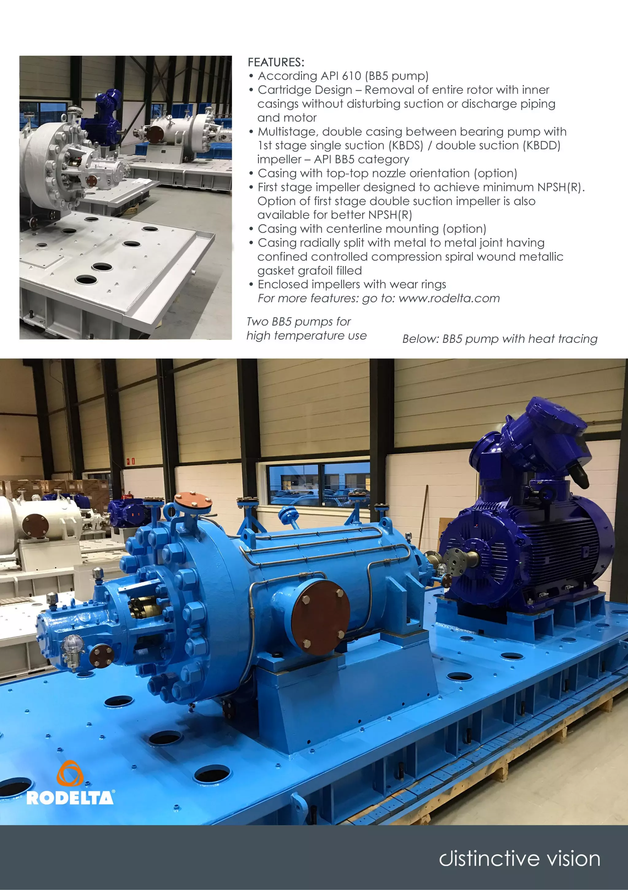 Rodelta - Pump solutions for the oil and gas industry API 610 | PDF