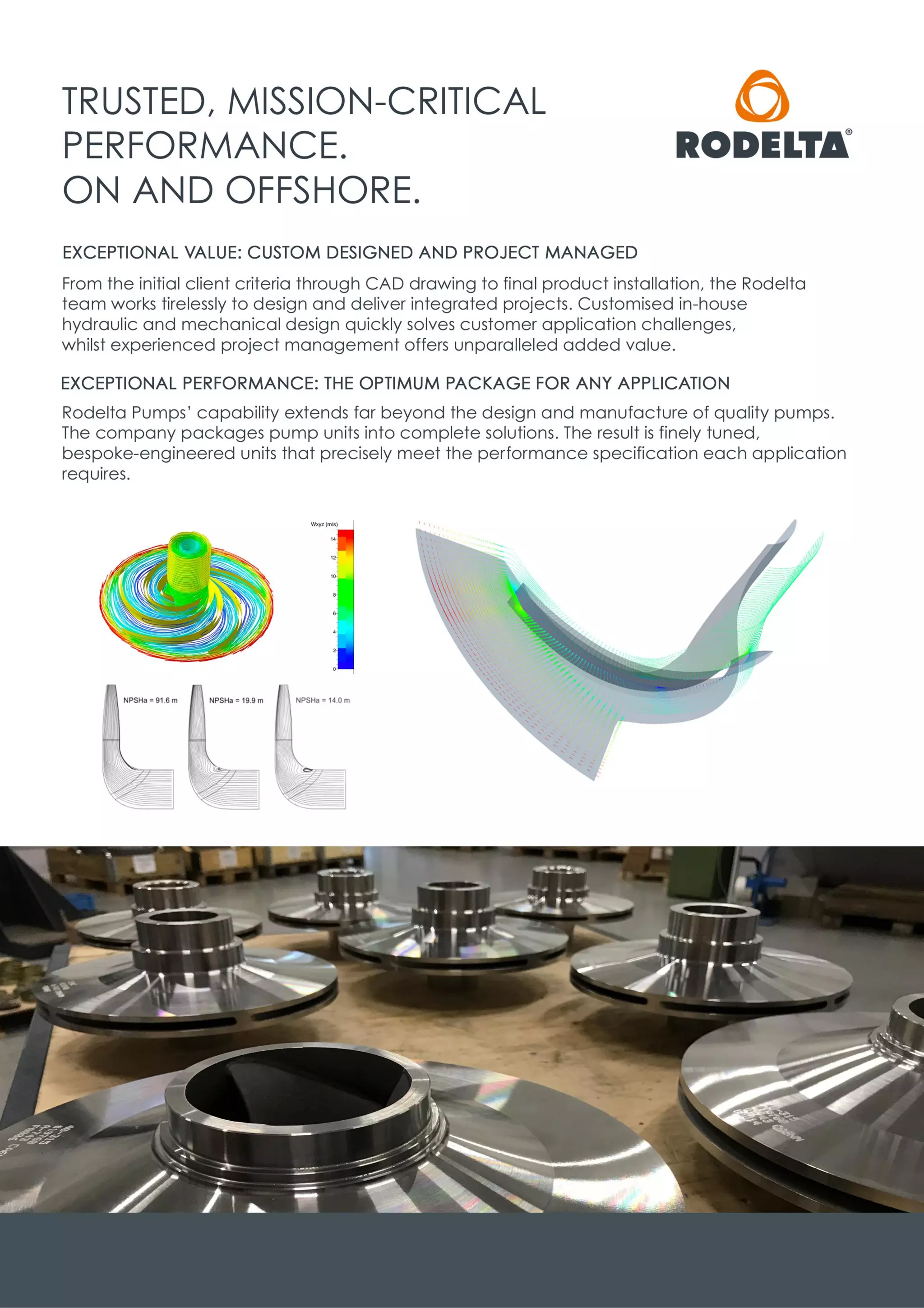 Rodelta - Pump solutions for the oil and gas industry API 610 | PDF