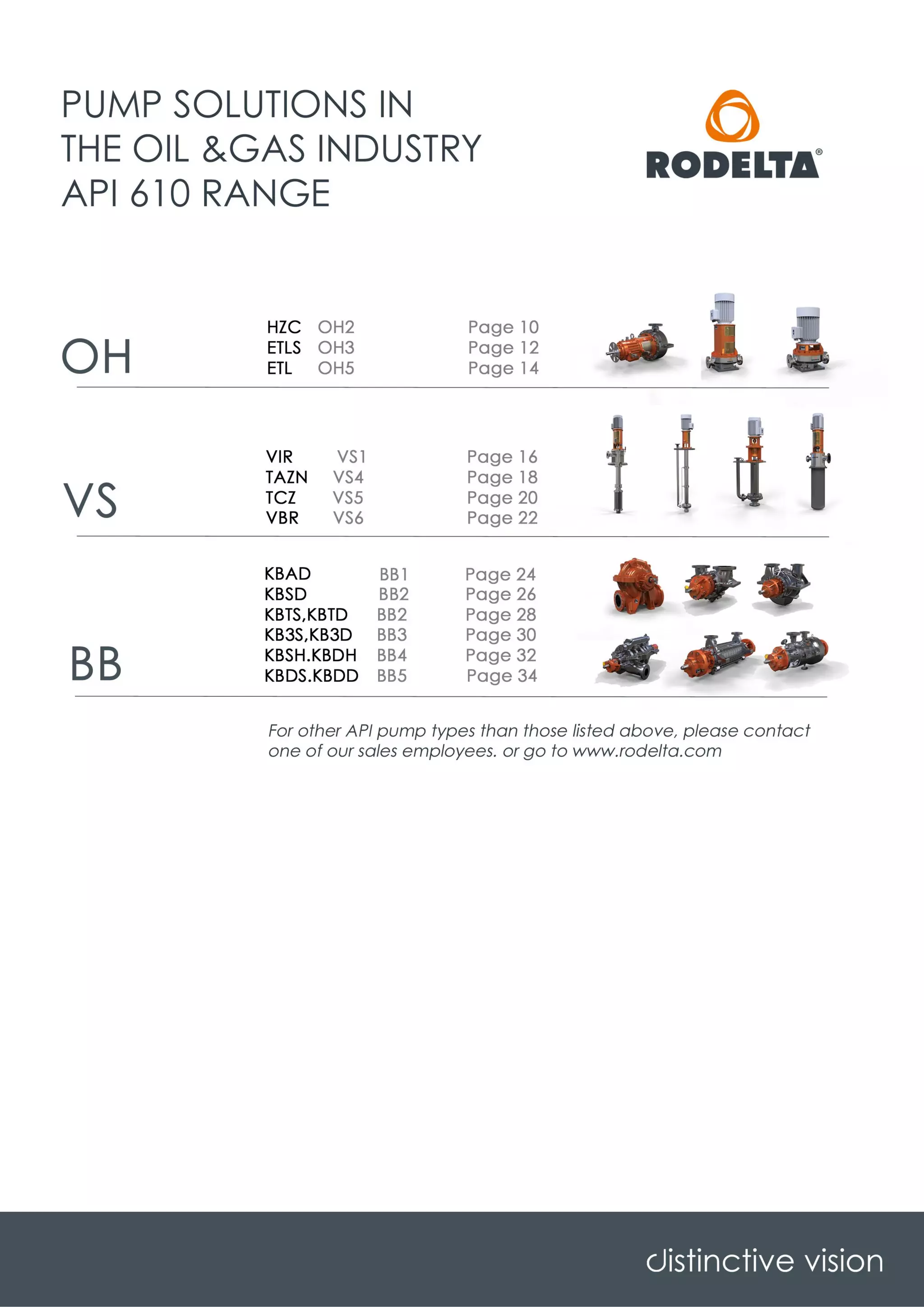Rodelta - Pump solutions for the oil and gas industry API 610 | PDF