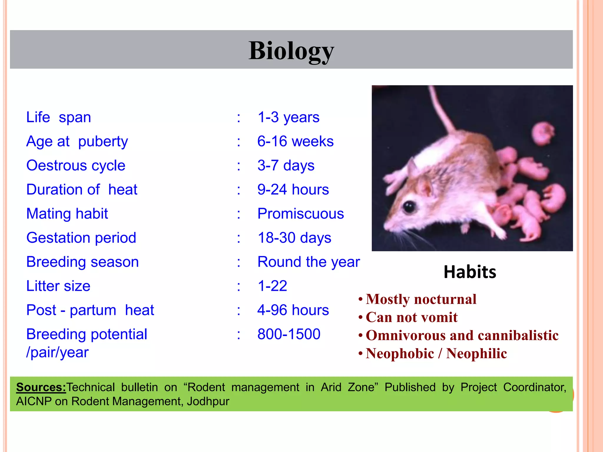 Rodents and their management | PPT