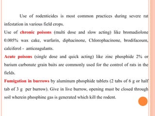 Rodents and their management | PPT | Chemistry | Science