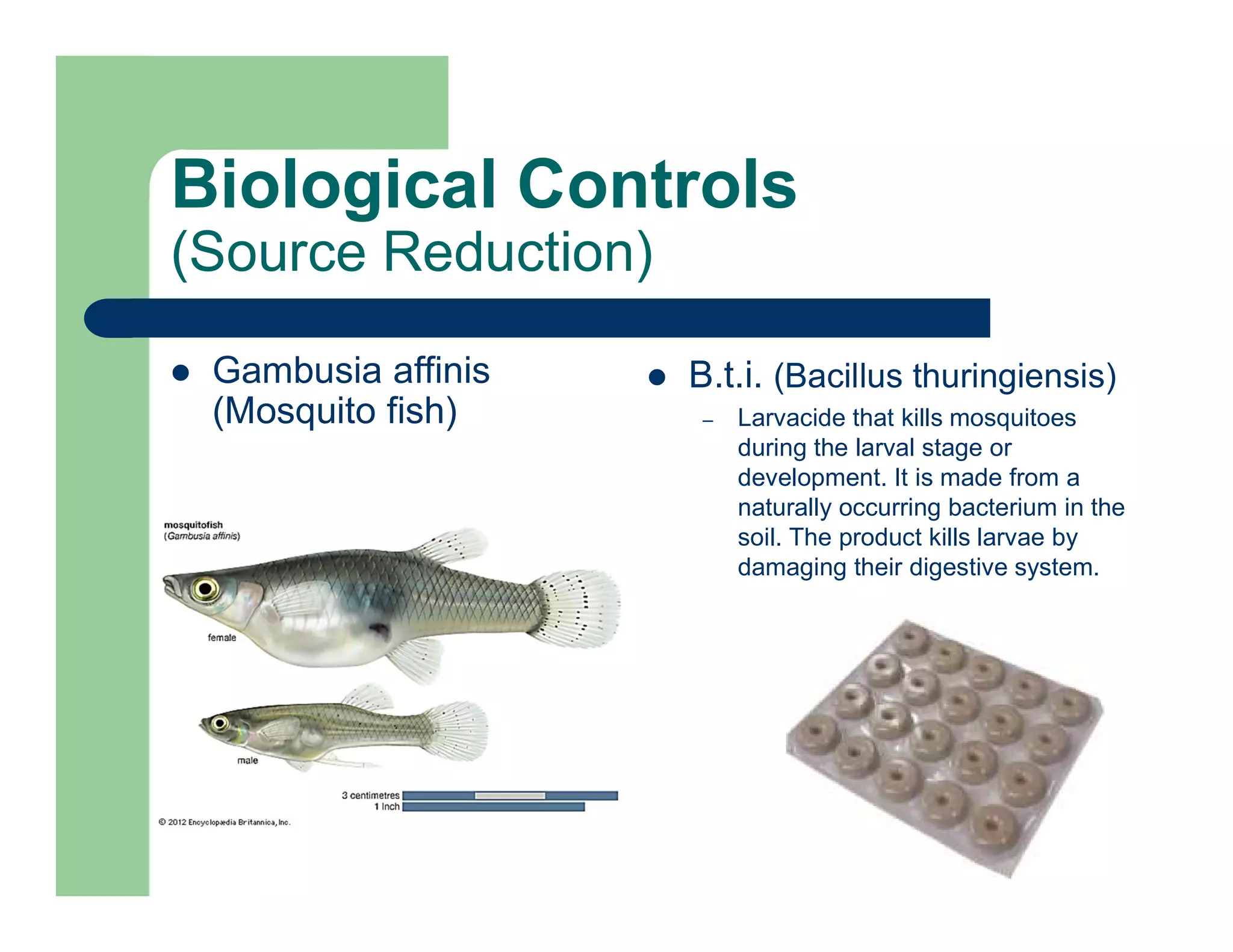 Mosquito and Rodent Control | PDF