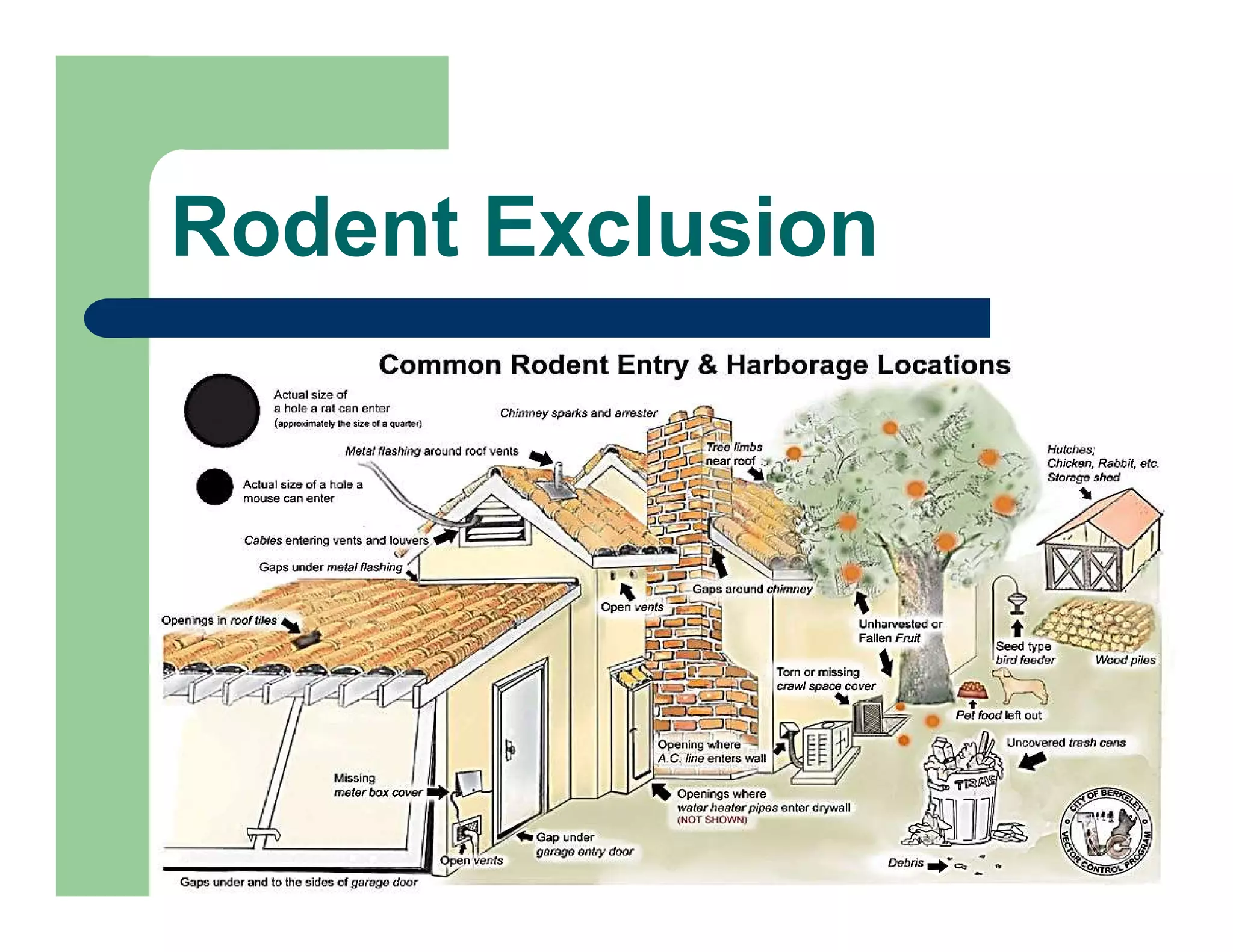 Mosquito and Rodent Control | PDF