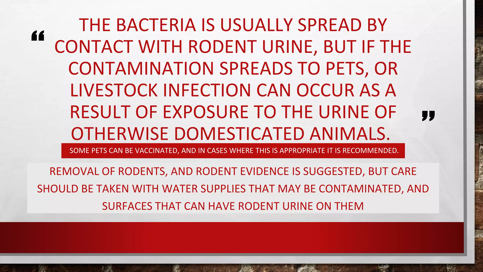 Rodent Biology Health and Diseases PDF.pdf