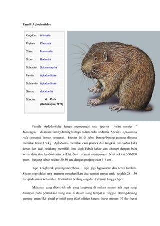 Rodentia&lagomorpha | PDF