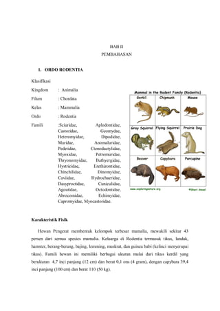Rodentia&lagomorpha | PDF