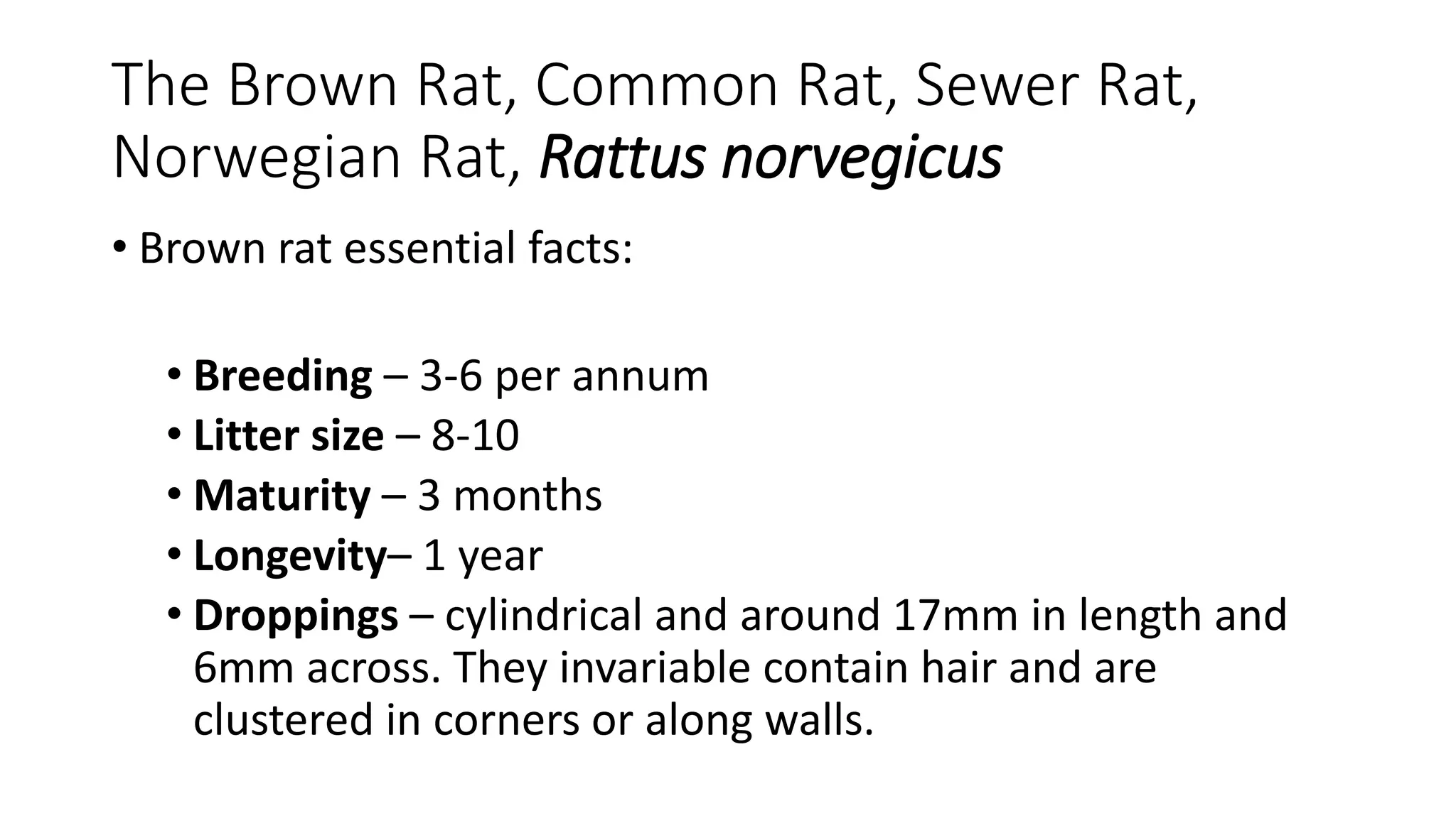 Rodent identification 2016 | PPT