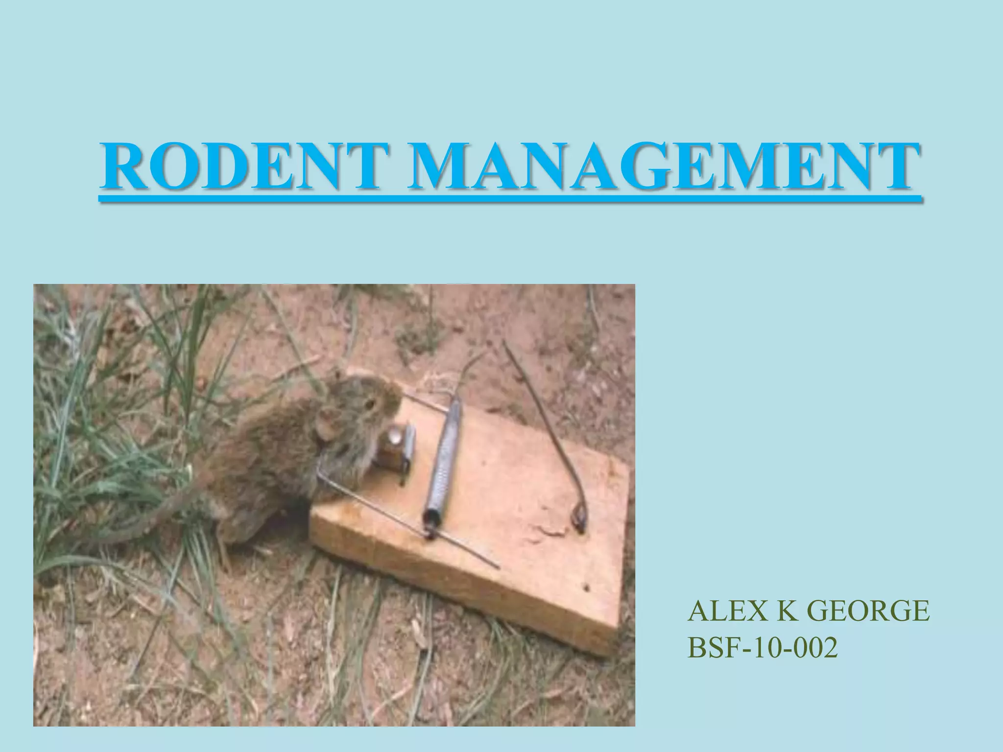 Rodent management | PPTX