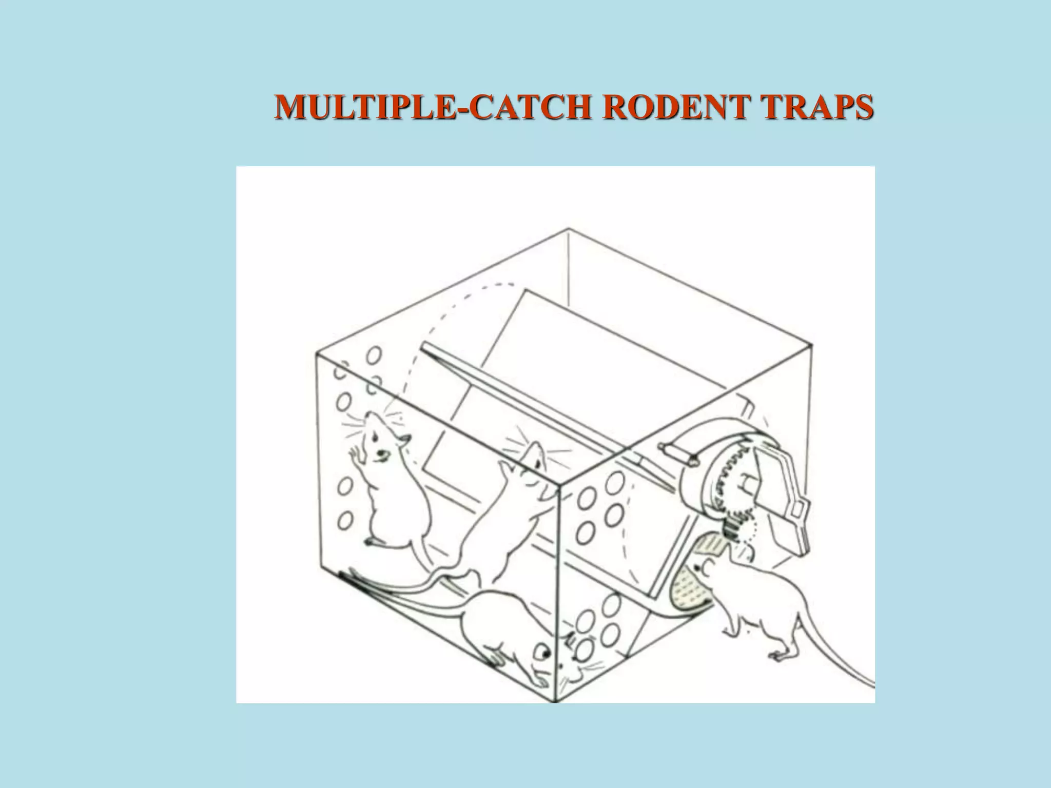 Rodent management | PPTX