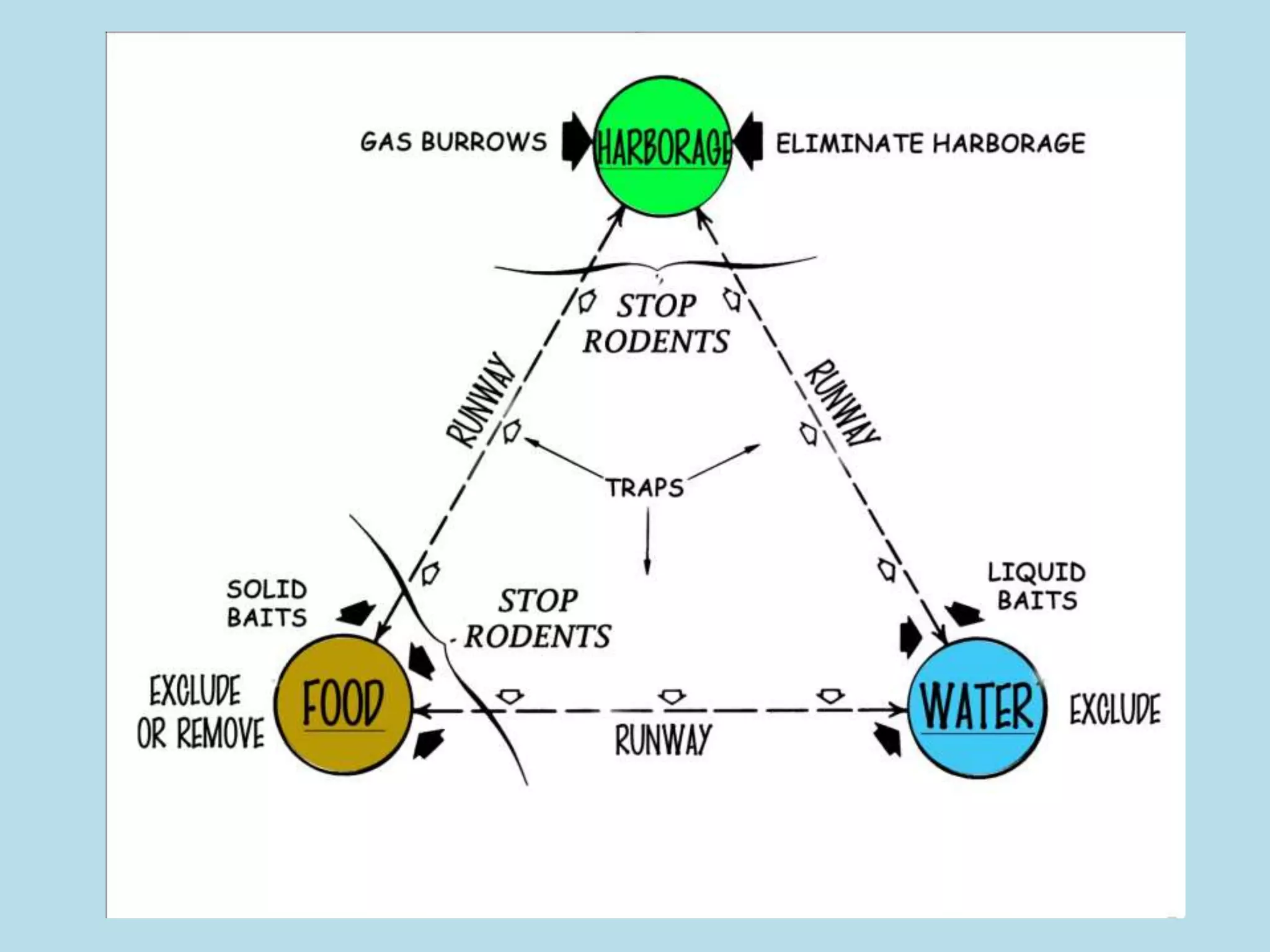 Rodent management | PPTX