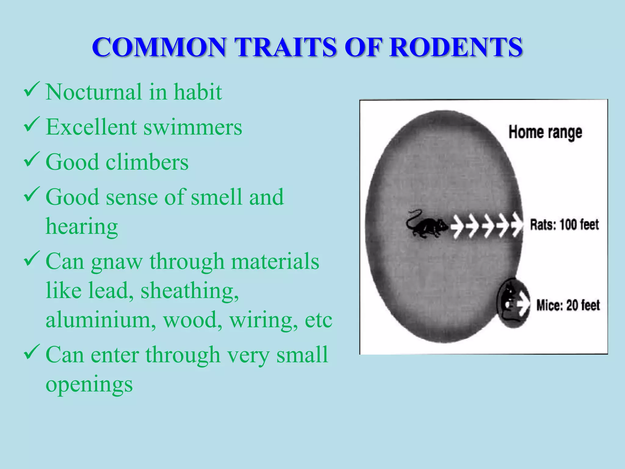 Rodent management | PPTX