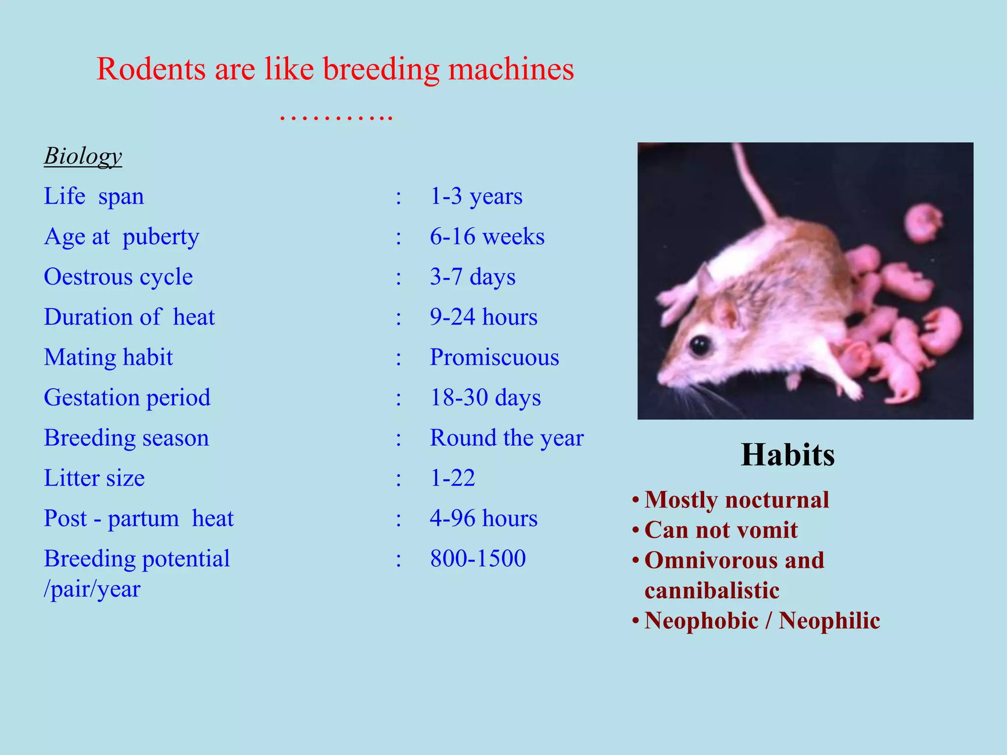 Rodent management | PPTX
