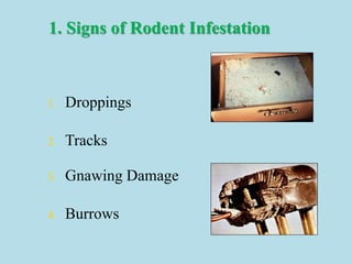 Rodent management | PPTX