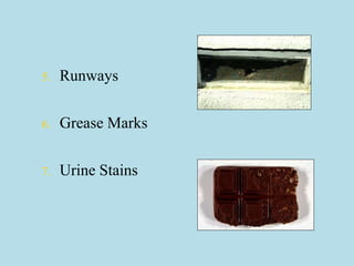 Rodent management | PPTX