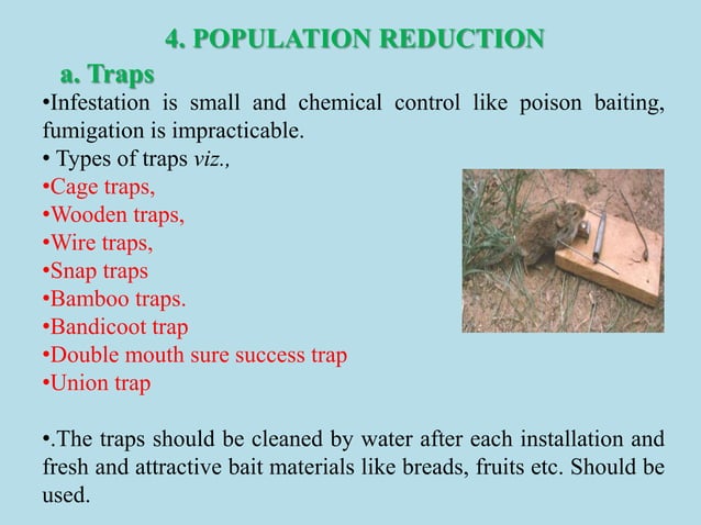 Rodent management | PPTX | Cats | Pets