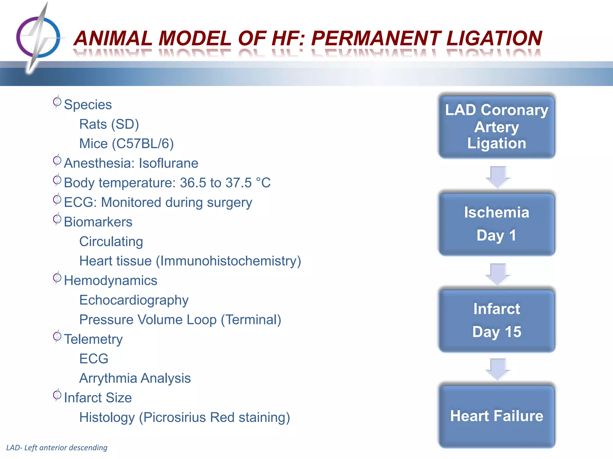 Rodent Models of Heart Failure and Cardiac Ischemic Injury | PDF | Heart and Cardiovascular ...