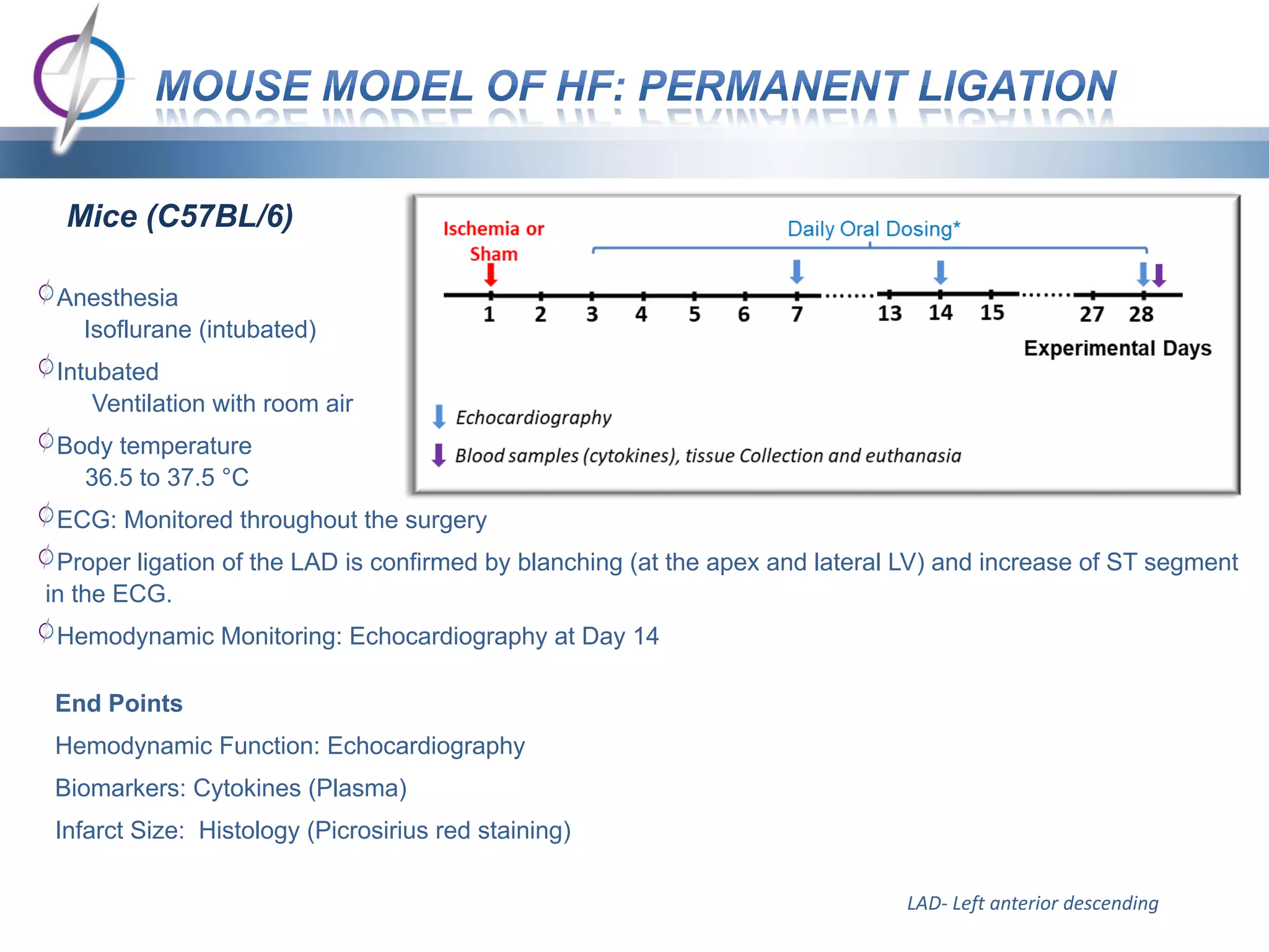 Rodent Models of Heart Failure and Cardiac Ischemic Injury | PDF