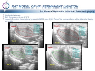 Rodent Models of Heart Failure and Cardiac Ischemic Injury | PDF