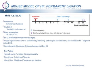 Rodent Models of Heart Failure and Cardiac Ischemic Injury | PDF