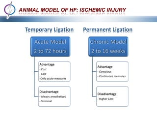 Rodent Models of Heart Failure and Cardiac Ischemic Injury | PDF