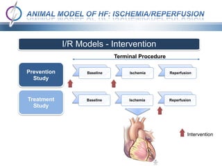 Rodent Models of Heart Failure and Cardiac Ischemic Injury | PDF